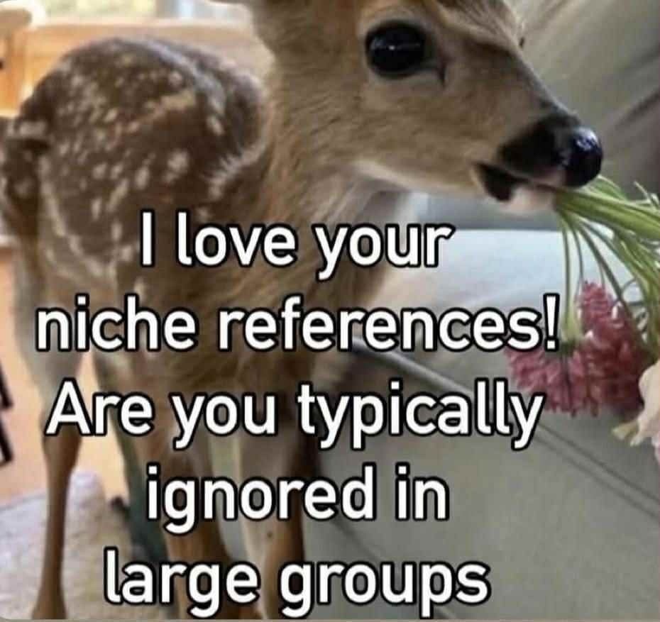 Latest memes / New memes :) Memedroid
