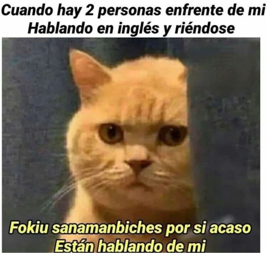 Fokiu bitch - Meme subido por Bite_Skull_Studios :) Memedroid