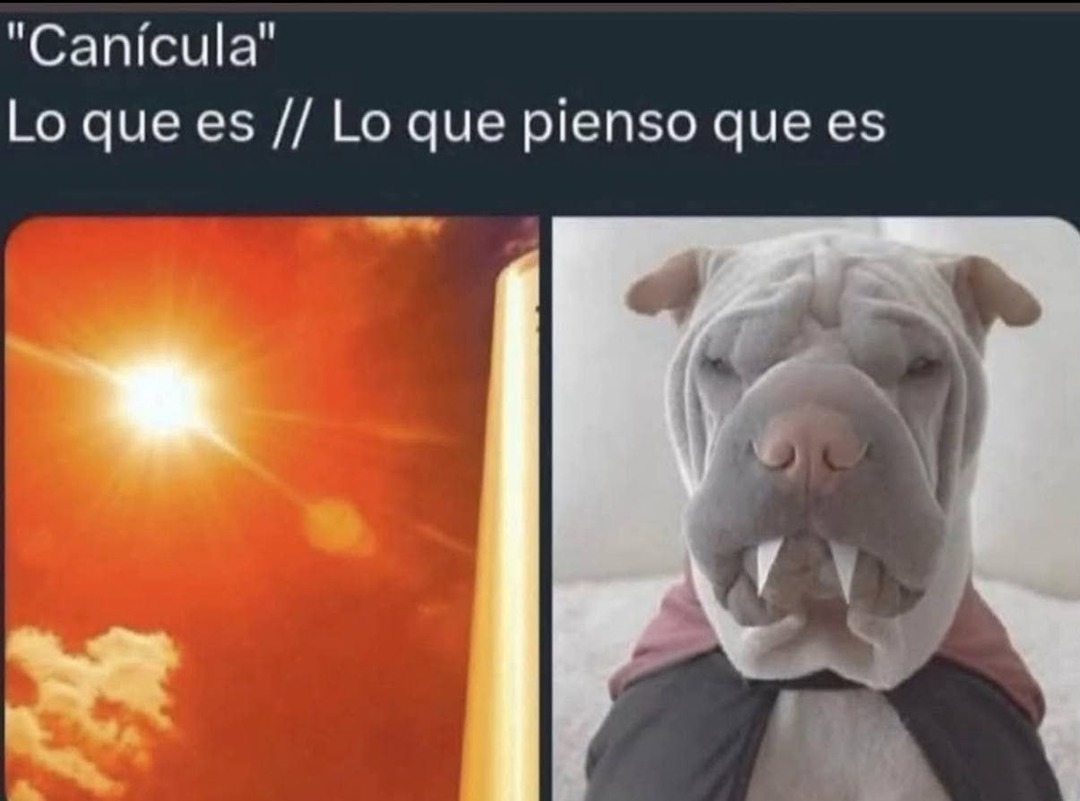 Los mejores memes del calor para compartir :) Memedroid