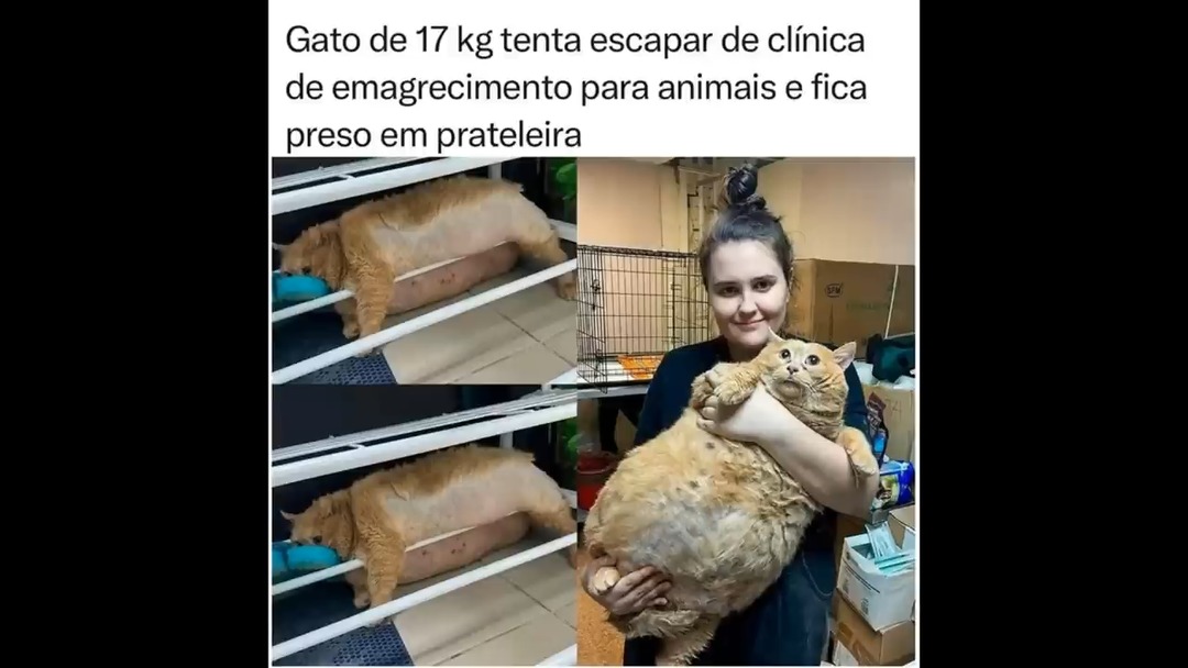 The best Rechonchudo memes :) Memedroid