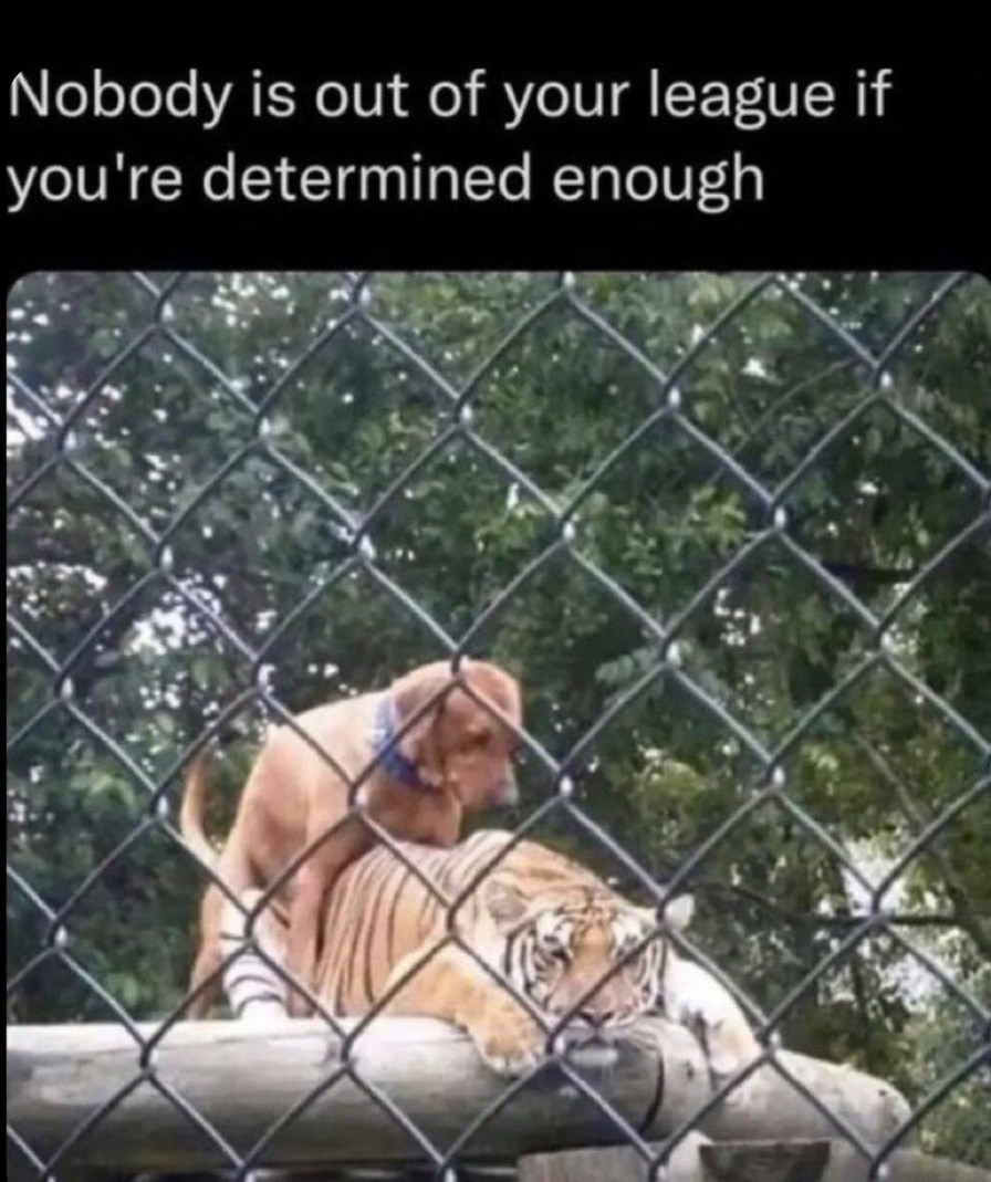 Determinacion - Meme subido por raptorv :) Memedroid