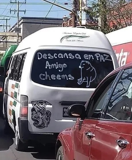 Últimos memes :) Memedroid