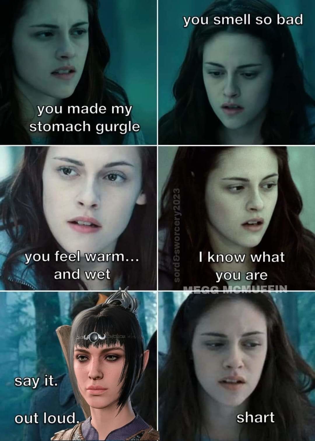 Shart Woche Meme