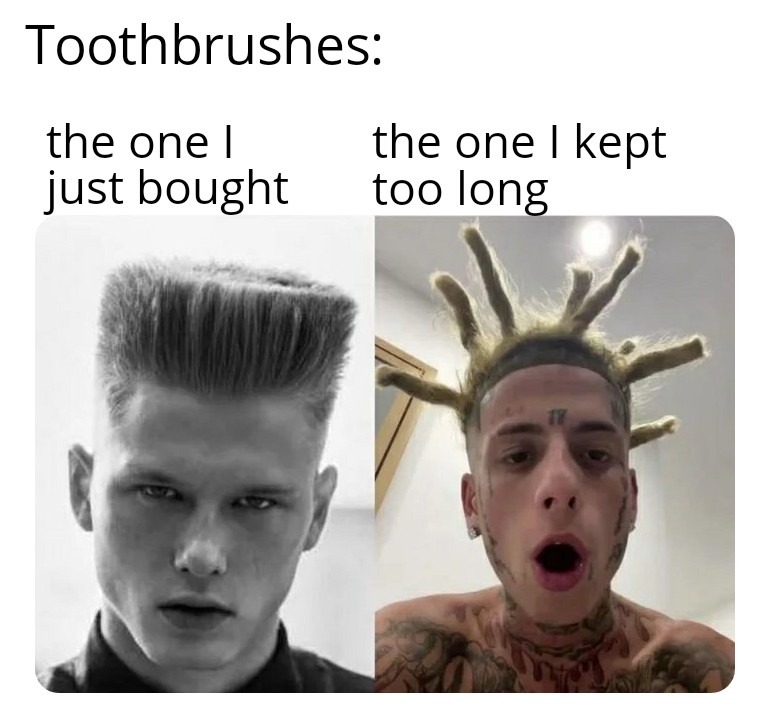 The best Bristled memes :) Memedroid