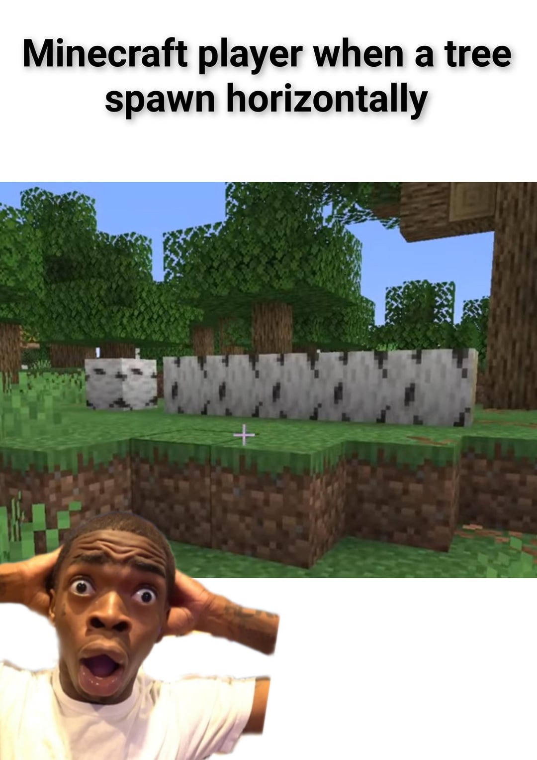 The Best Funny Minecraft Memes :) Memedroid