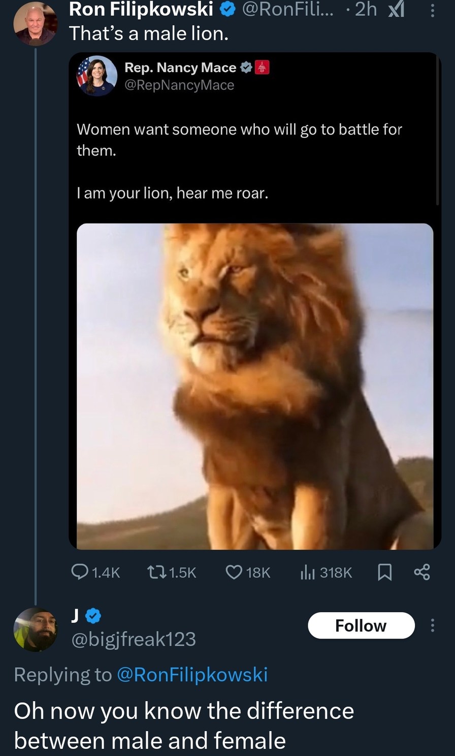 Female Lion Memes