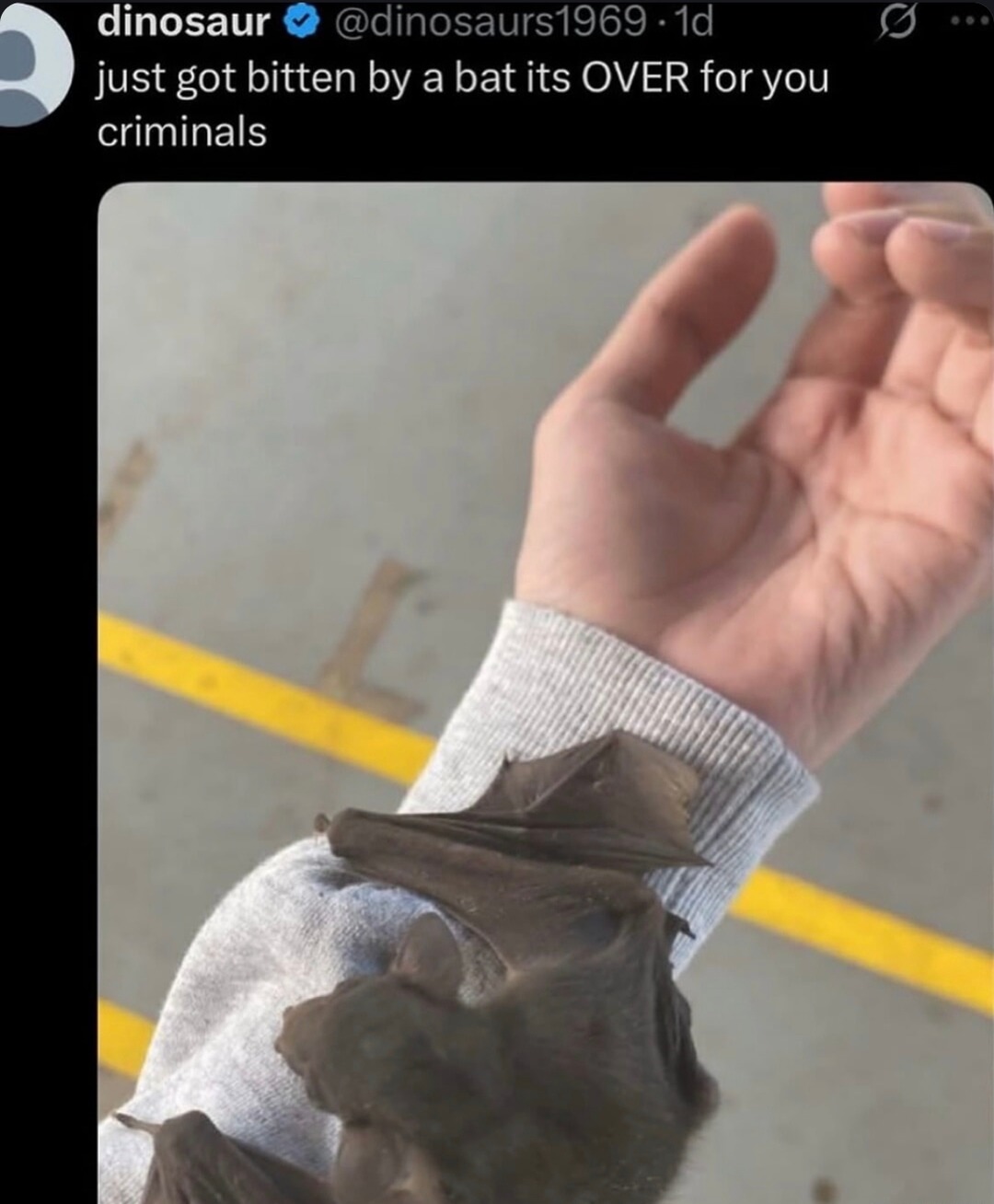 The best Bat memes :) Memedroid