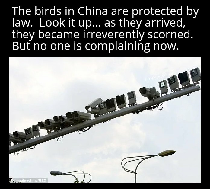 The best Picturesque memes :) Memedroid