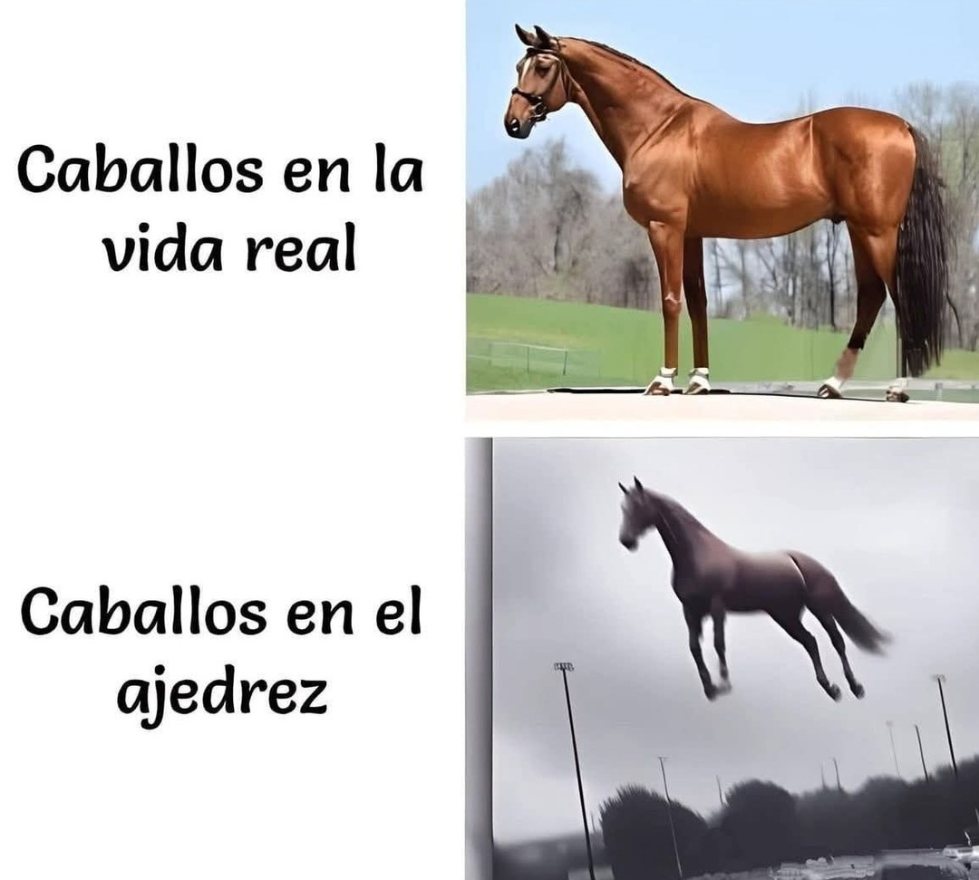 Top memes de Caballos en español :) Memedroid
