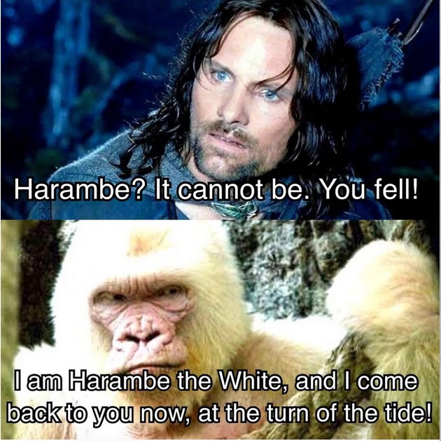 ITS THE SECOND COMING - Meme by SocialismKills :) Memedroid