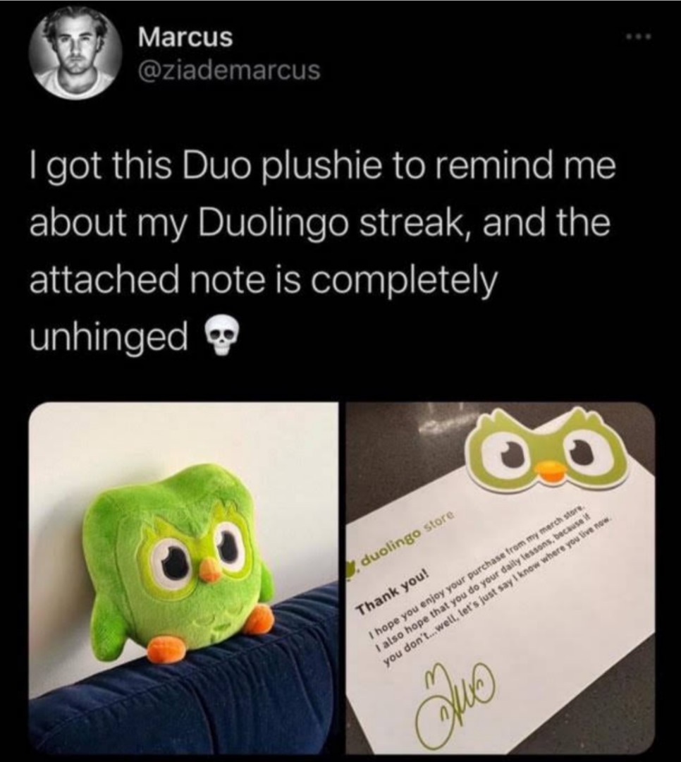 Top memes de Duolingo en español :) Memedroid