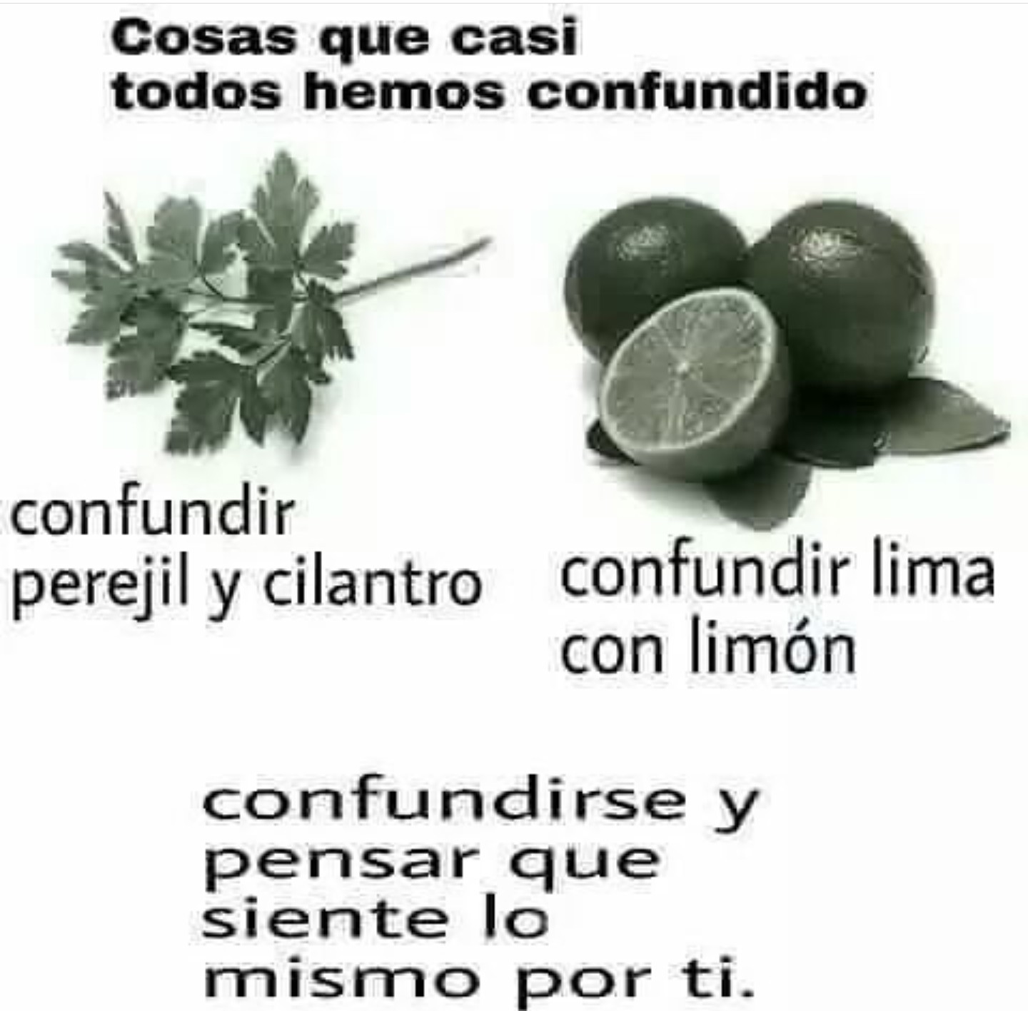 :'c - Meme by danielelamo :) Memedroid