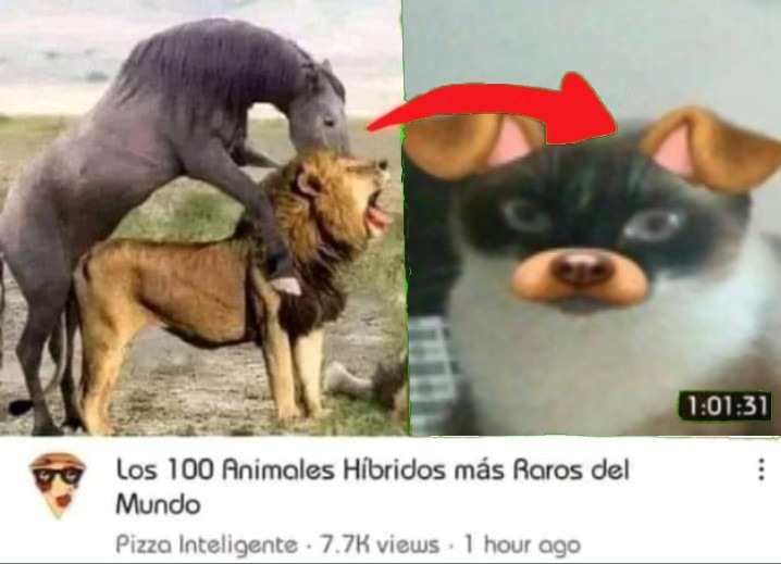 Hola - Meme subido por LaCucaPluda88 :) Memedroid