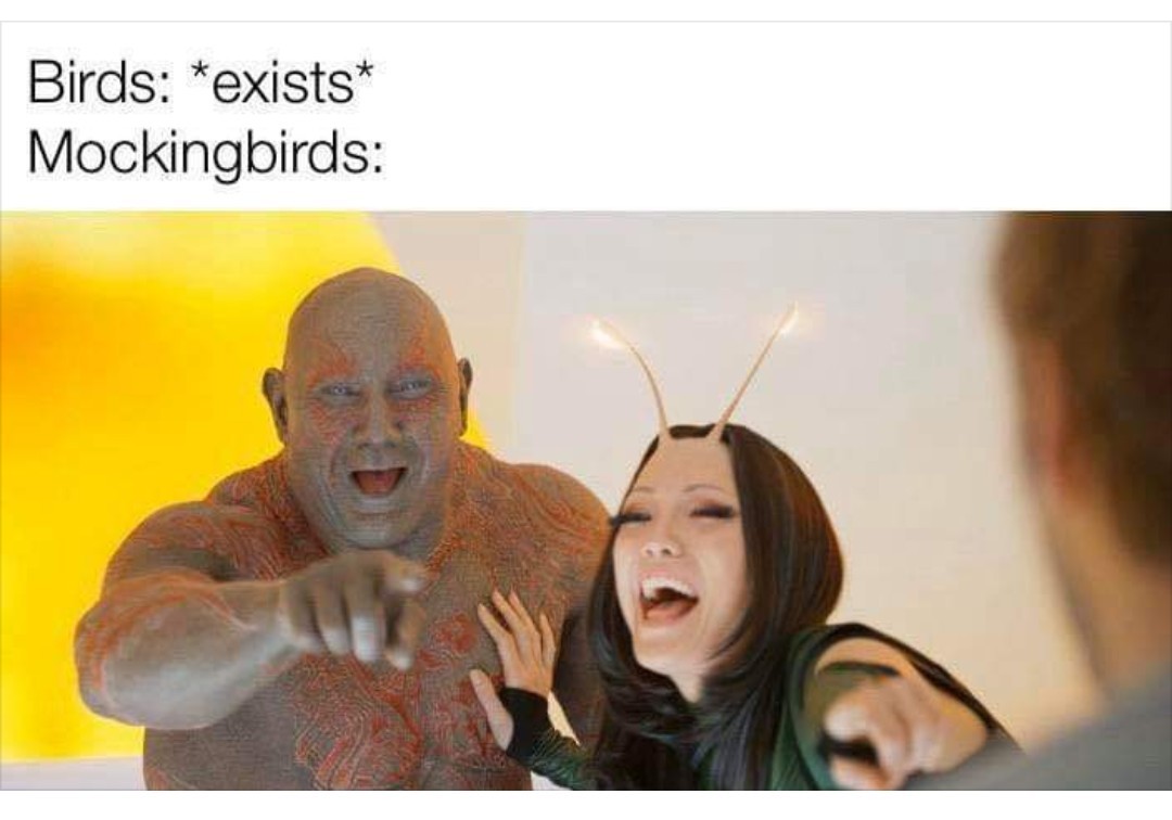 Spike - Meme by Nicky_ta :) Memedroid