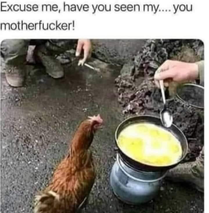 The best Chicken memes :) Memedroid